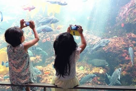 GW期間中の営業日は？ - 京都・二条 美容院｜和漢彩染・白髪染め・ノンジアミンカラー・トータルビューティーサロン VISAGE Loca ...