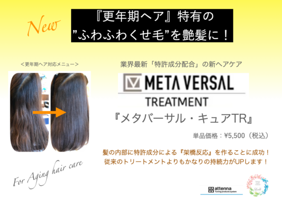 12月のお知らせ - 京都・二条 美容院｜白髪染め・ノンジアミンカラー・トータルビューティーサロン VISAGE Loca :: ヴィサージュ ...